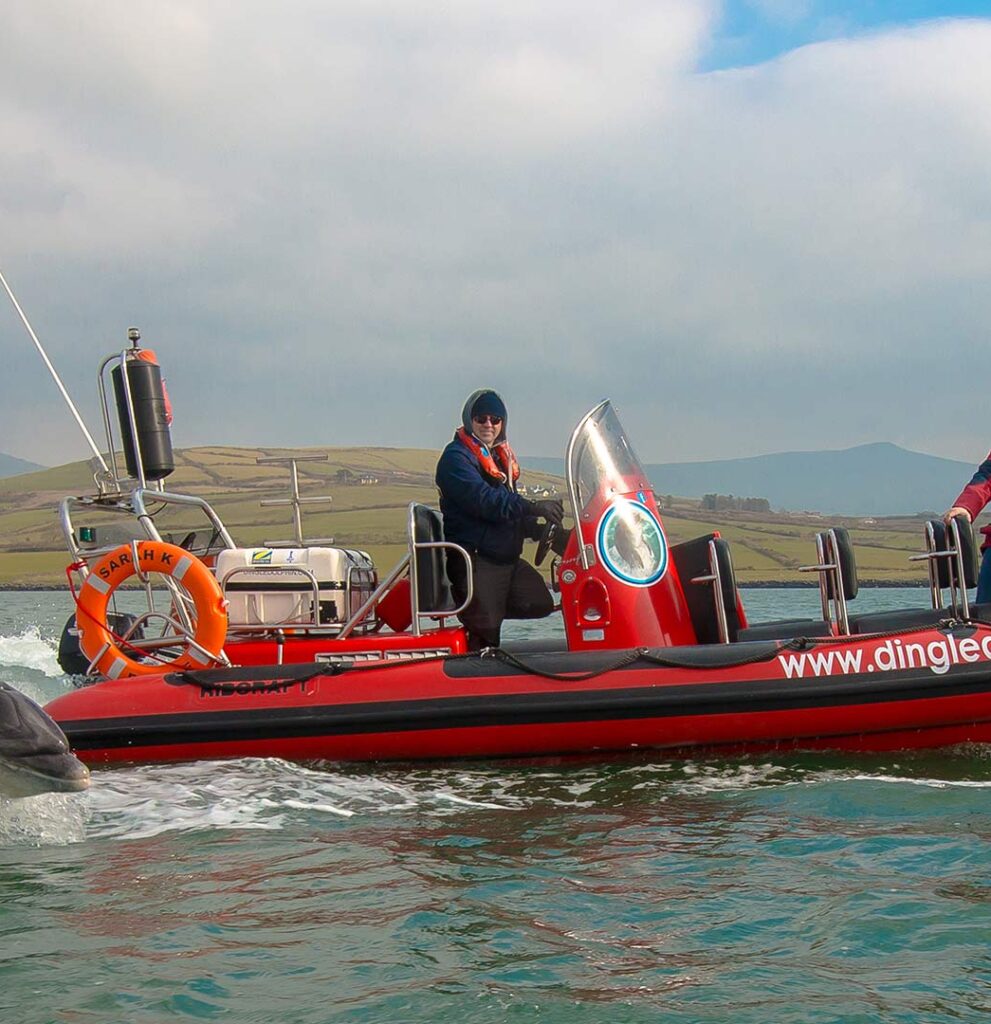 Dingle Gallery | Dingle Attractions | Dingle Skellig Hotel