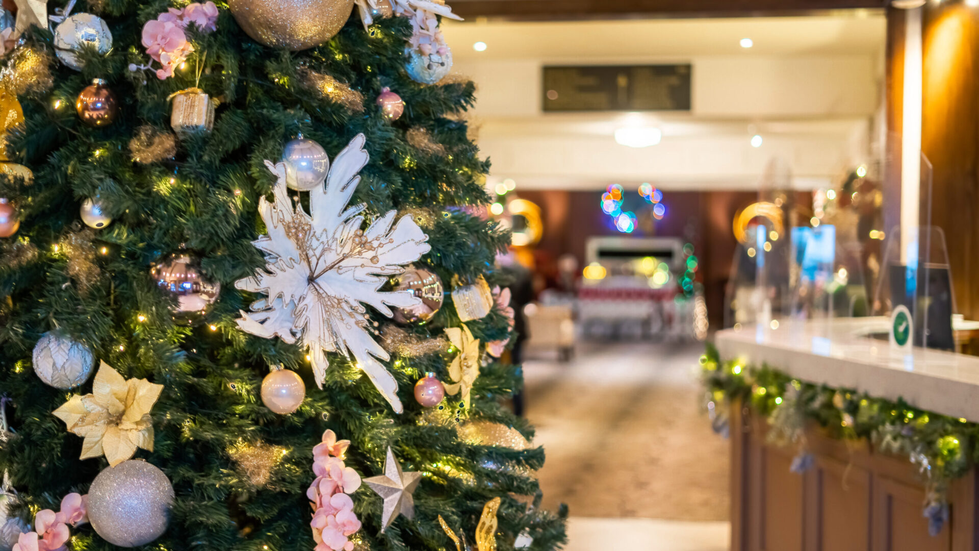 The Dingle Skellig Hotel & Peninsula Spa | Hotel In Dingle, Co. Kerry